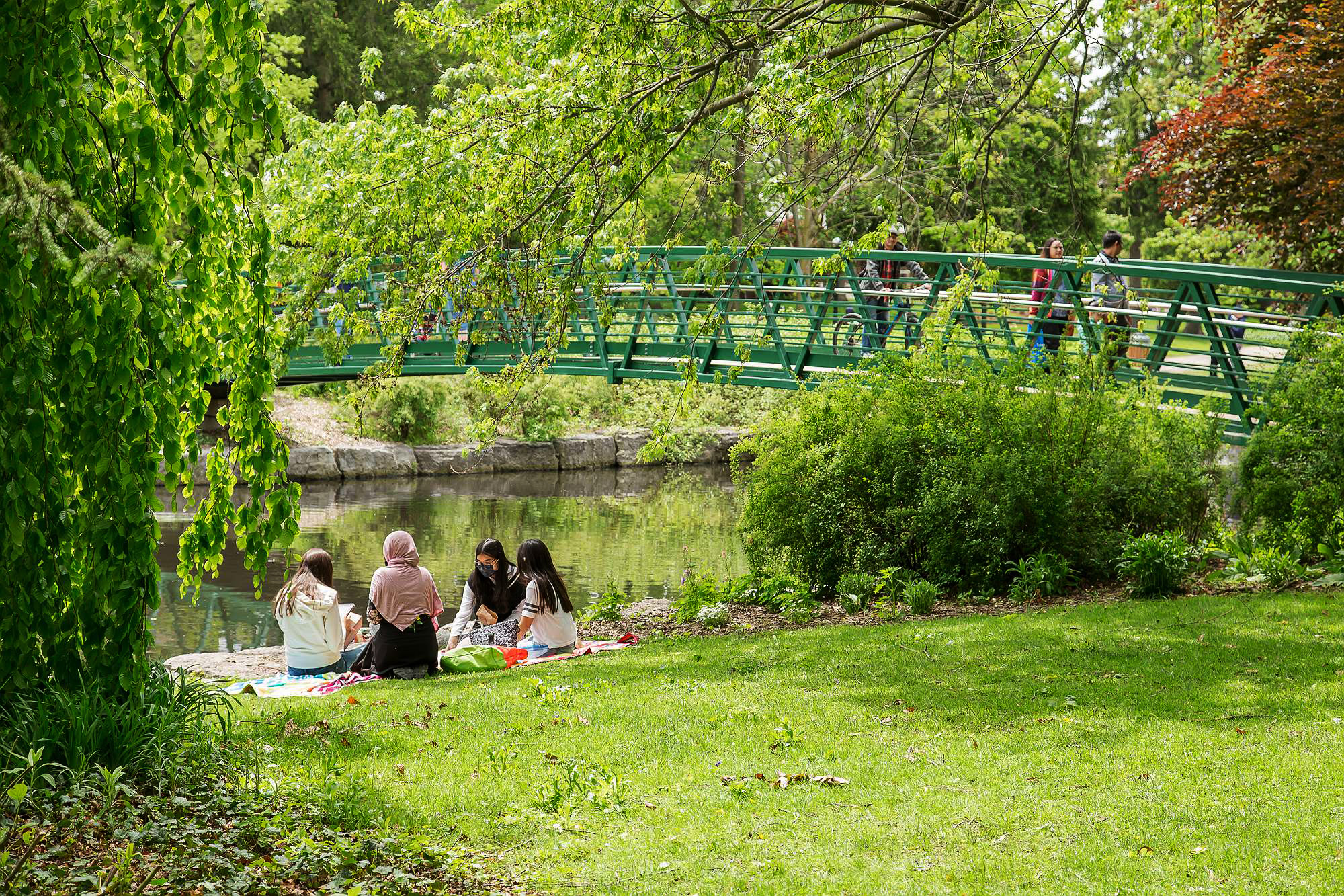 Local Amenities - Viva Towns